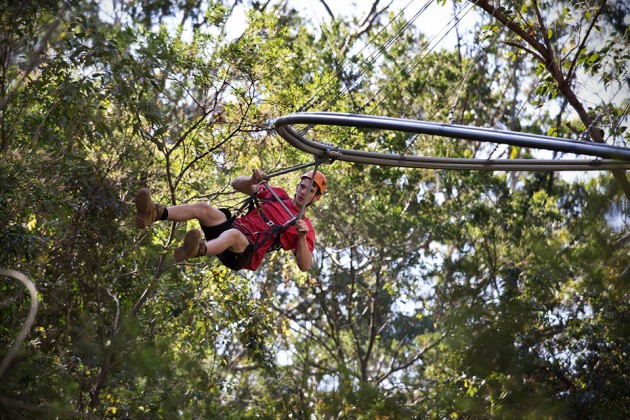 Travel: You Have Heard of TreeTop Walk, Now Meet the 1KM TreeTop Zip ...