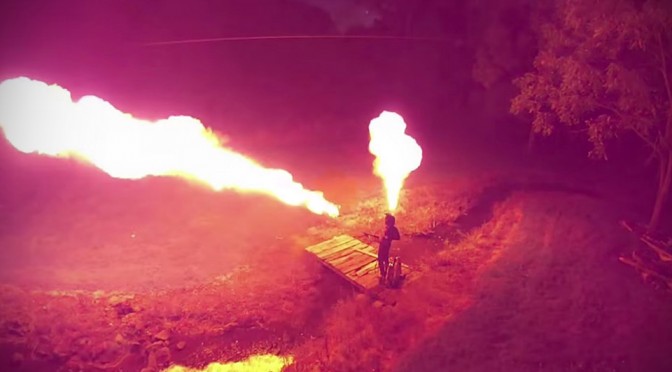 You Can Buy Almost Everything in the U.S., Including These ...