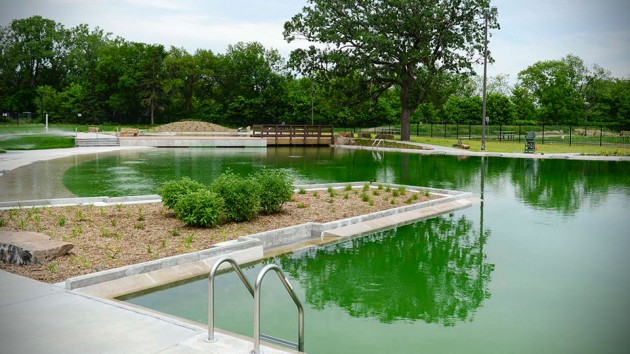 North Minneapolis Opens First Public Natural Swimming Pool in the U.S.