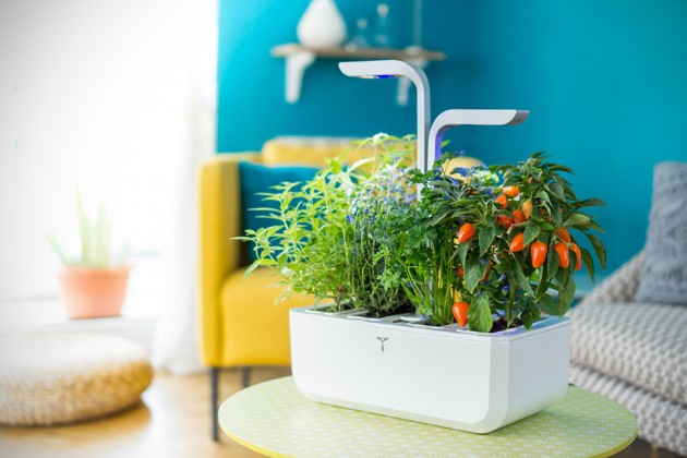 Veritable Autonomous Indoor Garden: Setup, Wait To Harvest