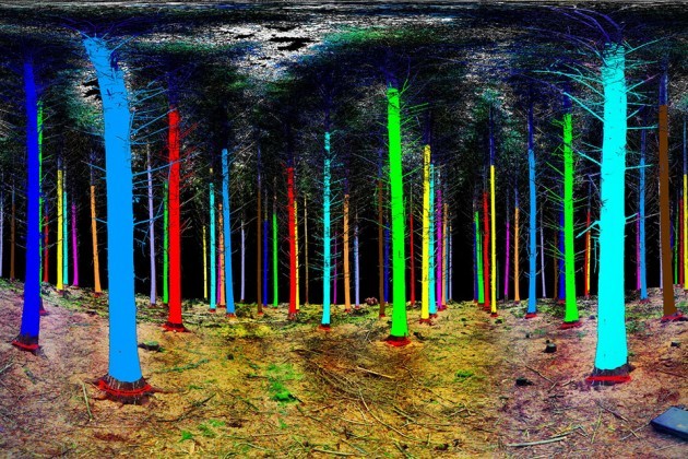 Tree-Monitoring “Laser Radar” Paints Forest In Enchanting Colors