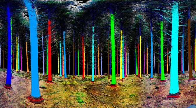 Tree-Monitoring “Laser Radar” Paints Forest In Enchanting Colors - SHOUTS